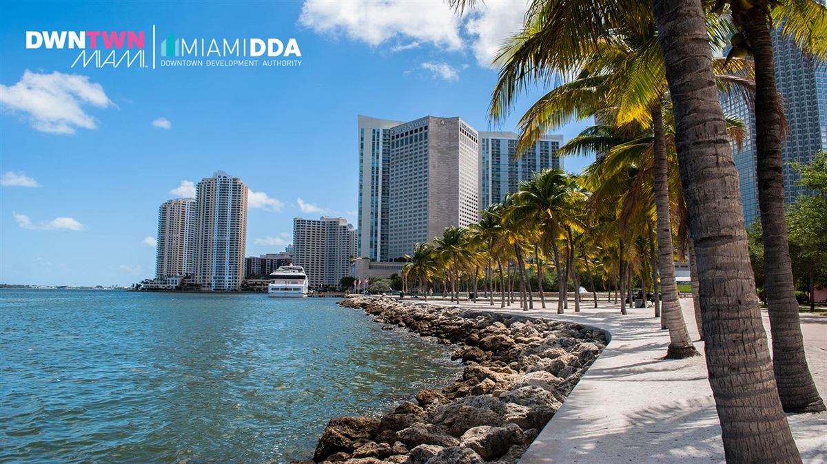 Miami DDA Board of Directors | Miami DDA